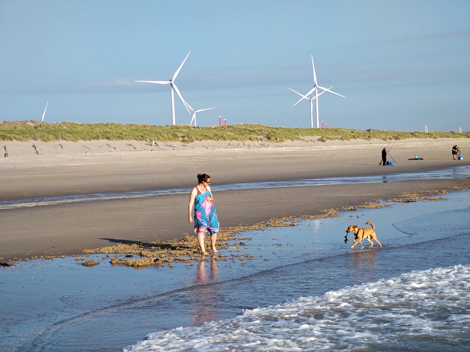 strand Archieven - Erasmus Magazine