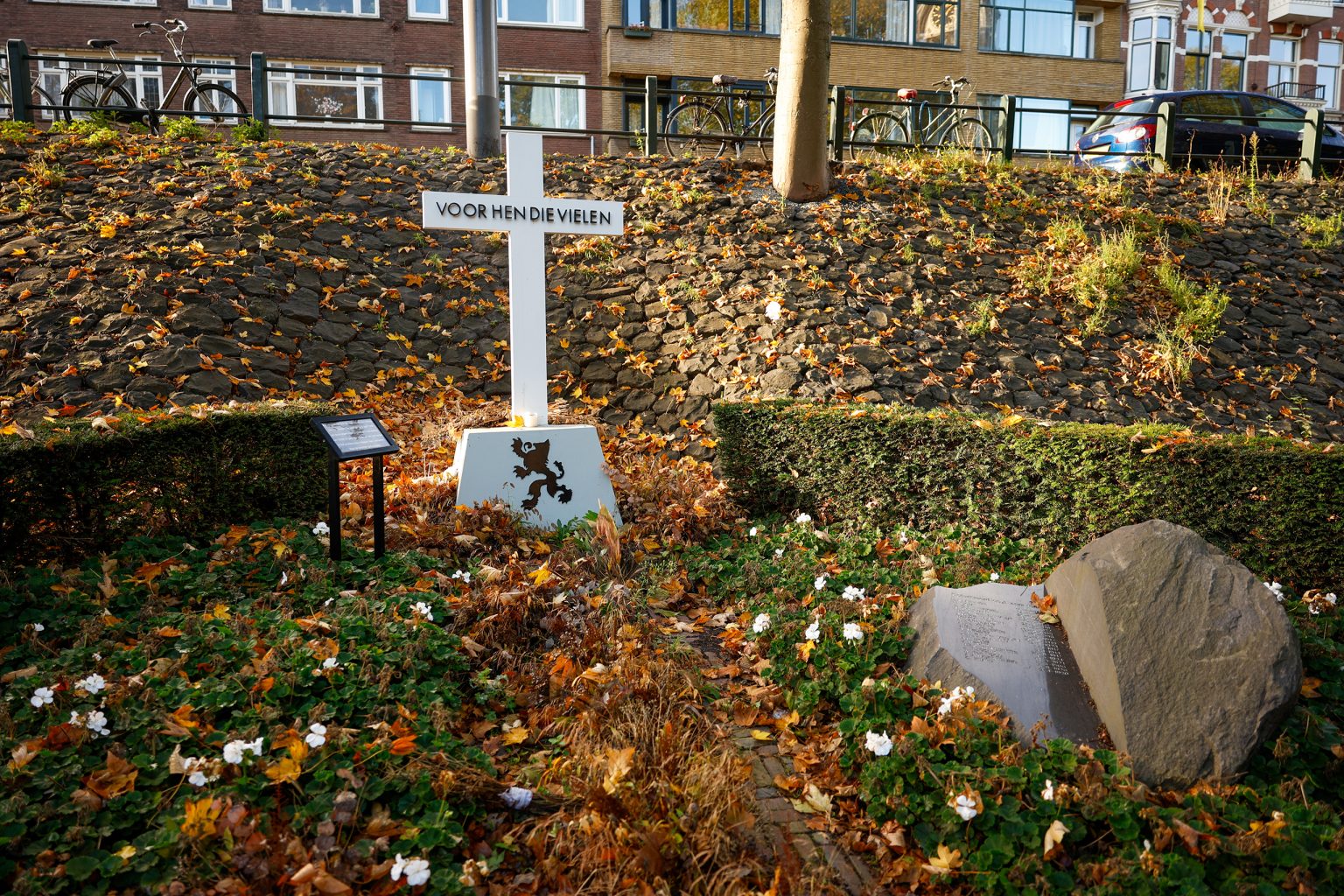 Friso swaps Kralingen’s pavements and ‘student nuisance’ for national ...